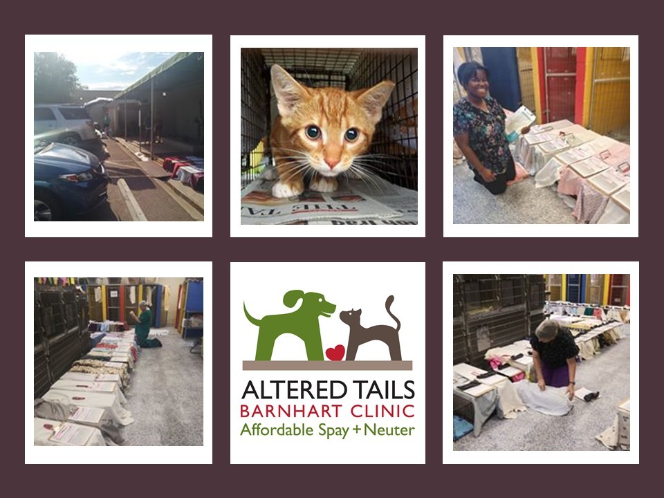 Donate a Trap Program: Altered Tails Barnhart Clinic TNR Program | Tru ...